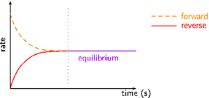 Concepts of Dynamic equilibrium or chemical equilibrium in IAL Chemistry