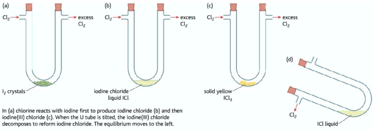 Concepts of Dynamic equilibrium or chemical equilibrium in IAL Chemistry